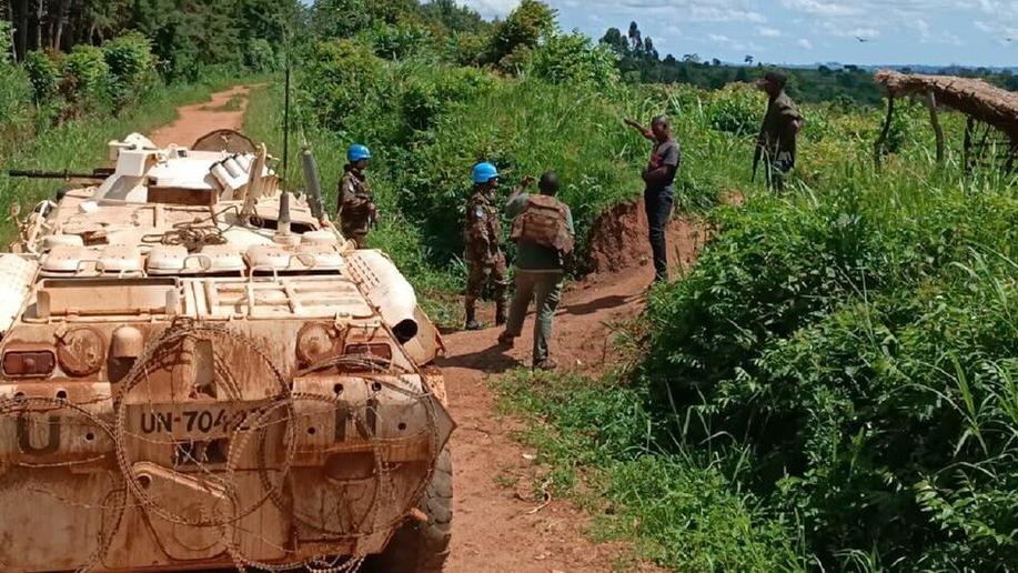 Security Council renews DR Congo peacekeeping mission amid renewed M23 ...